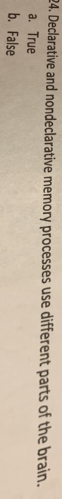 Solved 24. Declarative and nondeclarative memory processes | Chegg.com