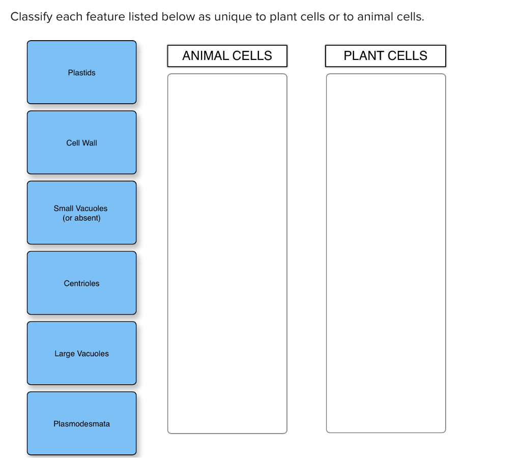 Solved Classify each feature listed below as unique to plant | Chegg.com
