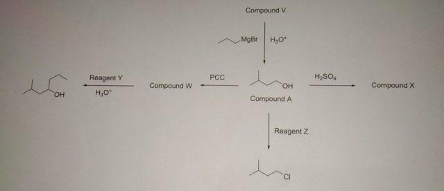 Solved Identify compound V, W, Z, reagent Y and Z. Then, | Chegg.com