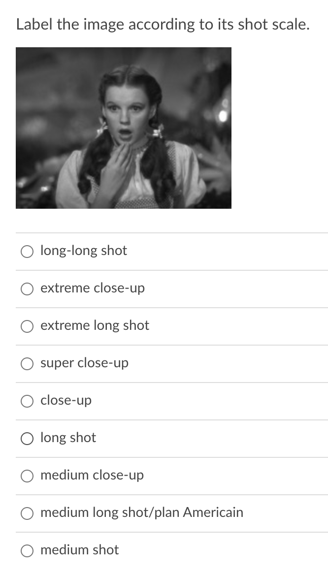 Solved Label the image according to its shot scale. O long | Chegg.com