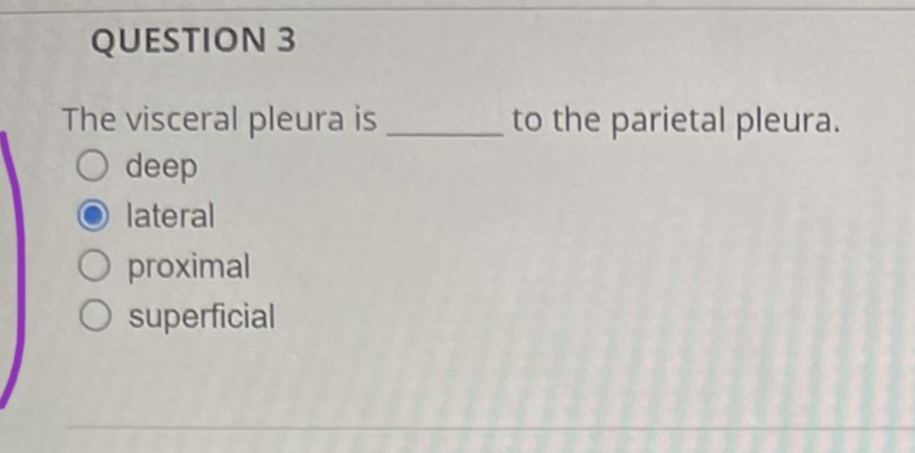 Solved The visceral pleura is to the parietal pleura. deep | Chegg.com