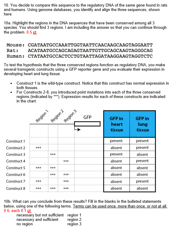Solved 5. What is an interchromatin compartment? 0.5 nt a | Chegg.com