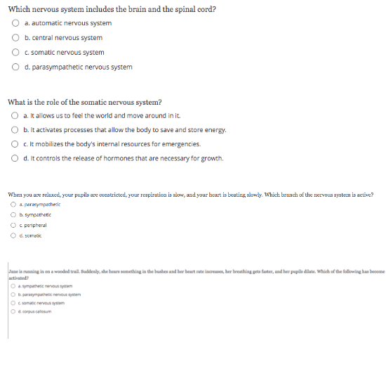 Solved Which nervous system includes the brain and the | Chegg.com