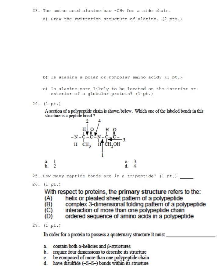 Solved 23. The amino acid alanine has -CH3 for a side chain. | Chegg.com