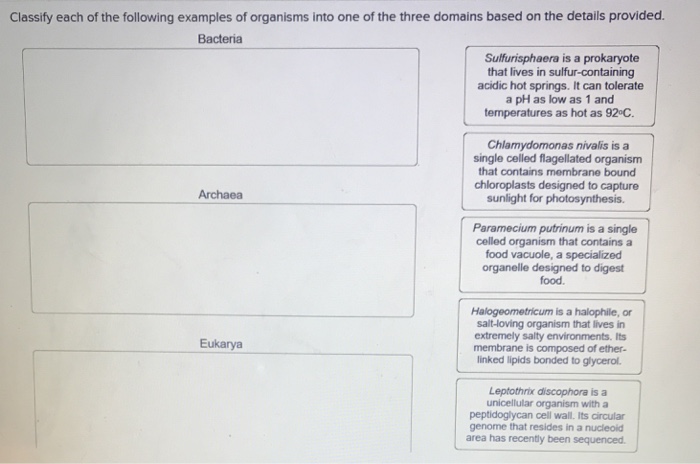 Solved Classify each of the following examples of organisms | Chegg.com