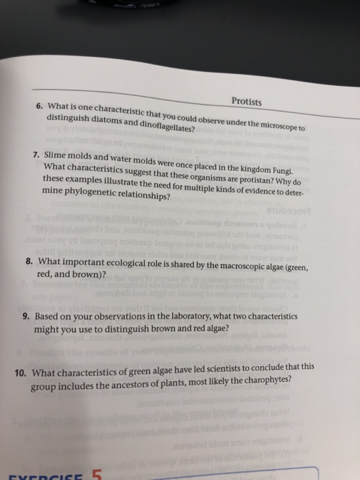Solved Protists What is one characteristic that you could | Chegg.com