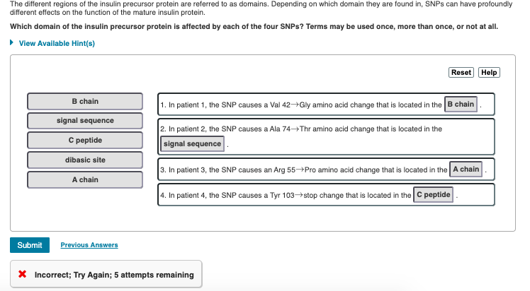 Solved Part D - Which domain of the insulin precursor | Chegg.com