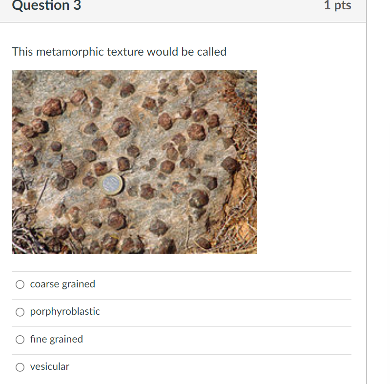 Solved This metamorphic texture would be called coarse | Chegg.com