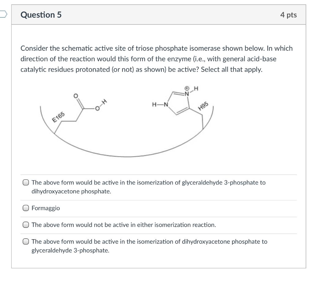 Solved Consider the schematic active site of enolase shown | Chegg.com