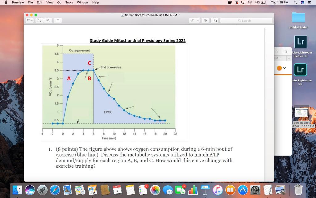 Solved The figure above shows oxygen consumption during a | Chegg.com