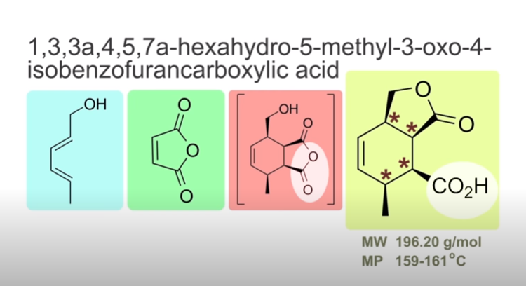 Solved a Diels-Alder reaction between Sorbic acid (a diene) | Chegg.com