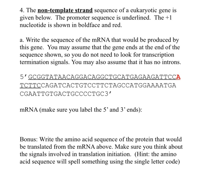 Solved 4. The non-template strand sequence of a eukaryotic | Chegg.com