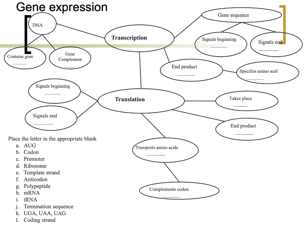 Solved Complete and type out in prose (paragraph format) | Chegg.com