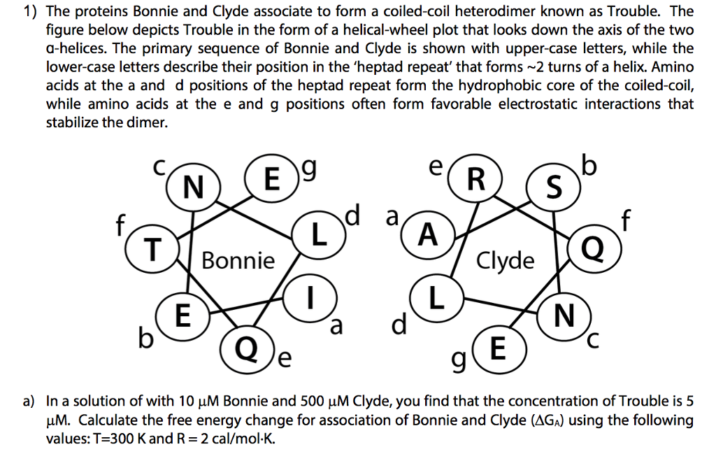 Solved 1) The proteins Bonnie and Clyde associate to form a | Chegg.com