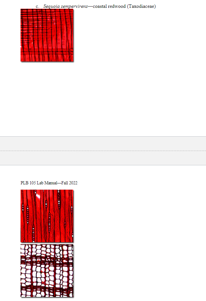 Solved b. Juniperus virginiana-Eastern red cedar | Chegg.com