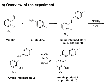 Solved SYNTHESIS OF AN AMIDE VIA BACK-TO-BACK - REDUCTIVE | Chegg.com