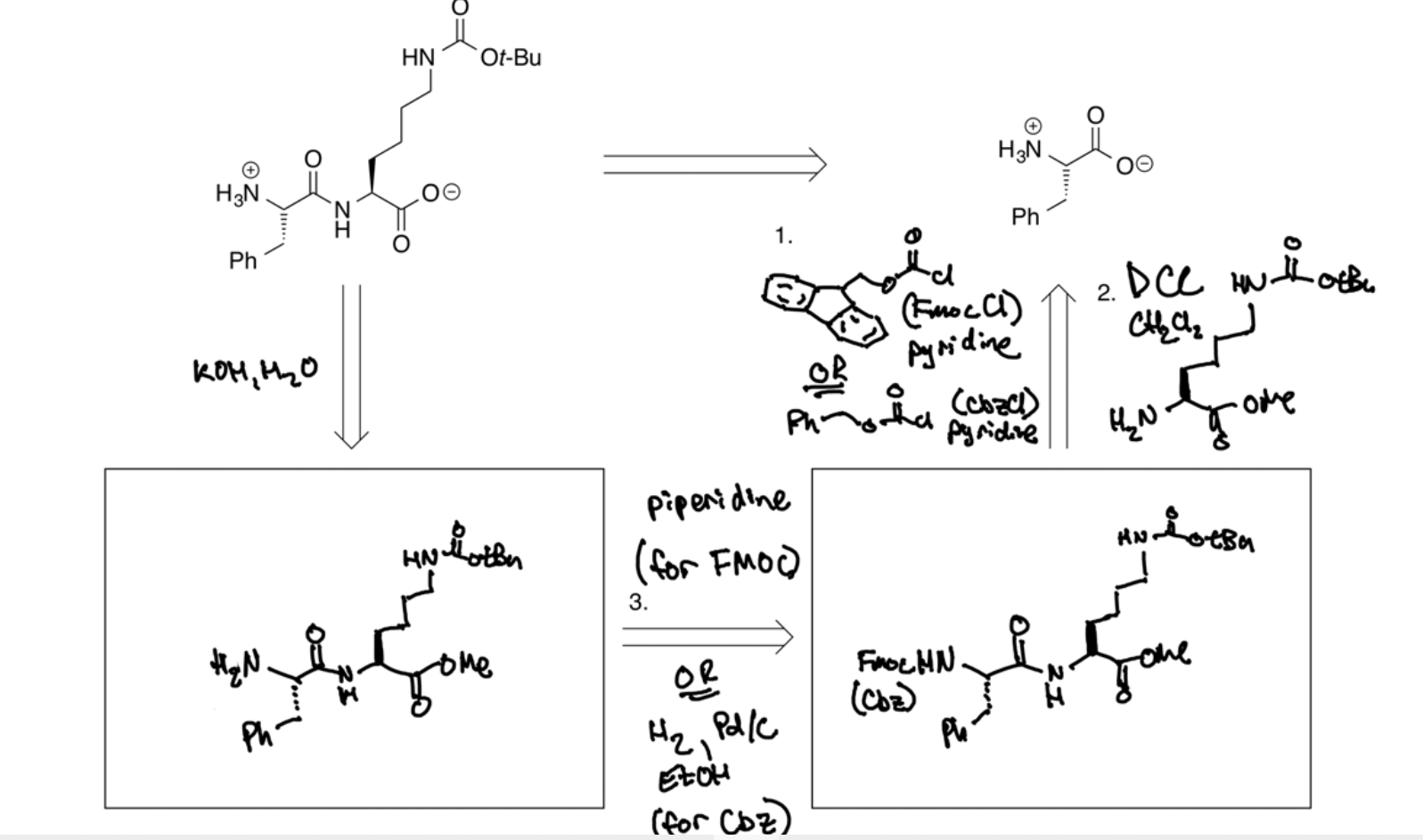 Solved Please explain this retrosynthesis and why the | Chegg.com