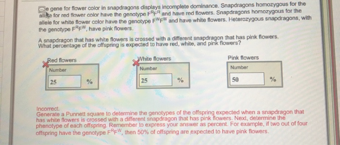 Solved De gene for flower color in snapdragons displays | Chegg.com