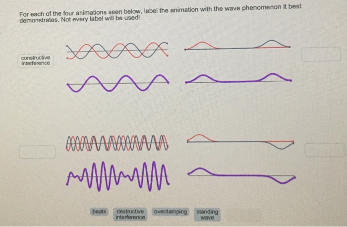 Solved For each of the four animations seen below, label the | Chegg.com