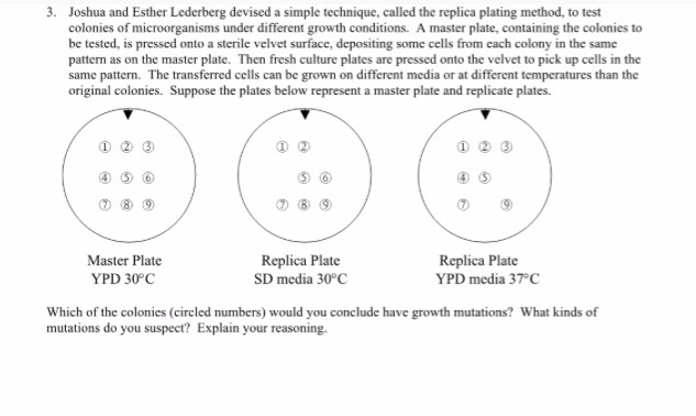Solved Joshua and Esther Lederberg devised a simple | Chegg.com