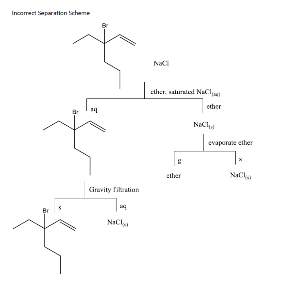 Solved On a page titled Incorrect Separation Scheme print | Chegg.com