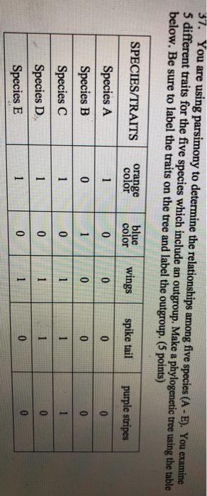 Solved 37. You are using parsimony to determine the | Chegg.com