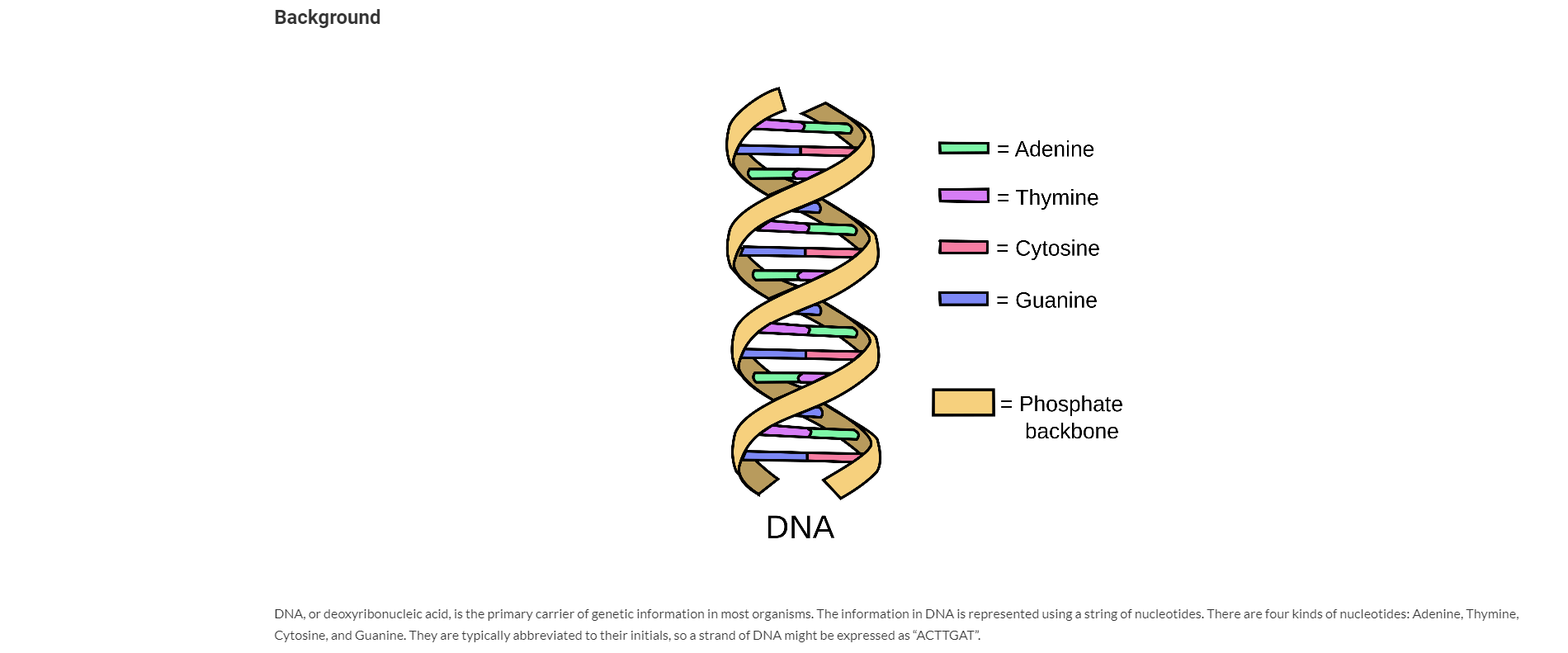 Background = Adenine - Thymine = - Cytosine ININING = | Chegg.com