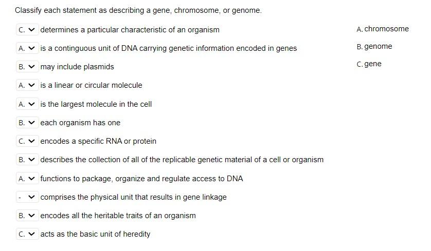 Solved Classify each statement as describing a gene, | Chegg.com