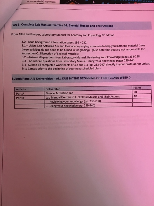 Part B: Complete Lab Manual Exercise 14: Skeletal ... | Chegg.com