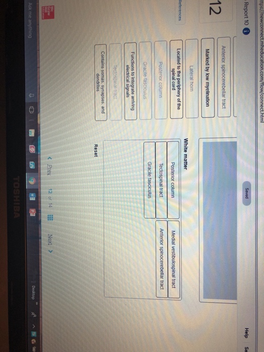 Solved Drag each label into the appropriate category to | Chegg.com Solved Drag each label into the appropriate category to | Chegg.com