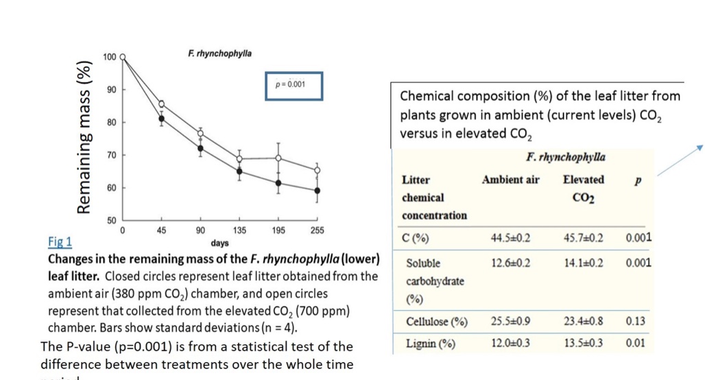 Solved (A) ﻿Describe the effects of elevated atmospheric CO2 | Chegg.com