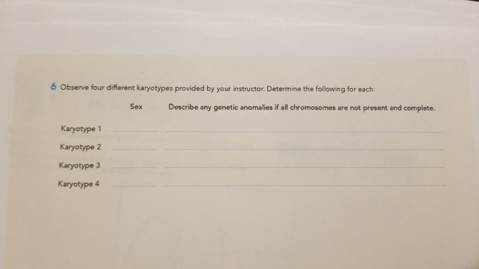 Solved Lab Exercise 32 Continued Name 5 Use The Karyotype