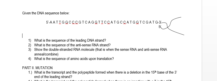 Solved Given the DNA sequence below: | Chegg.com