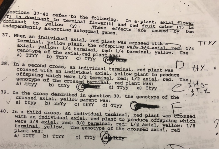 Solved estions 37-40 refer -to the following. In a plant, | Chegg.com