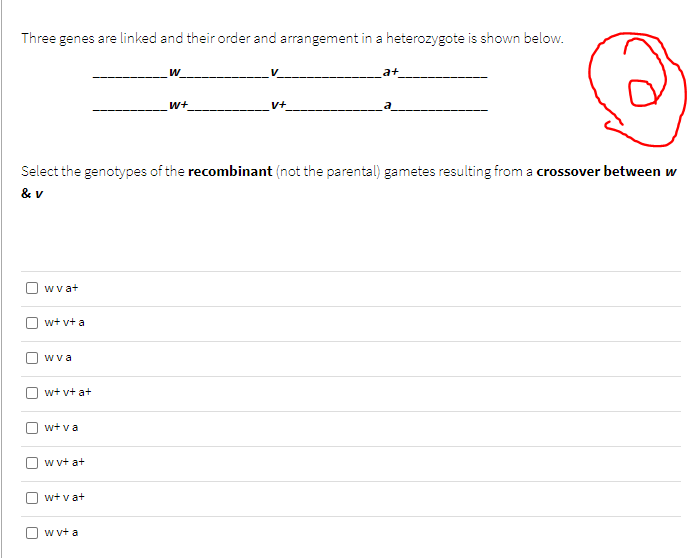 Solved Three genes are linked and their order and | Chegg.com