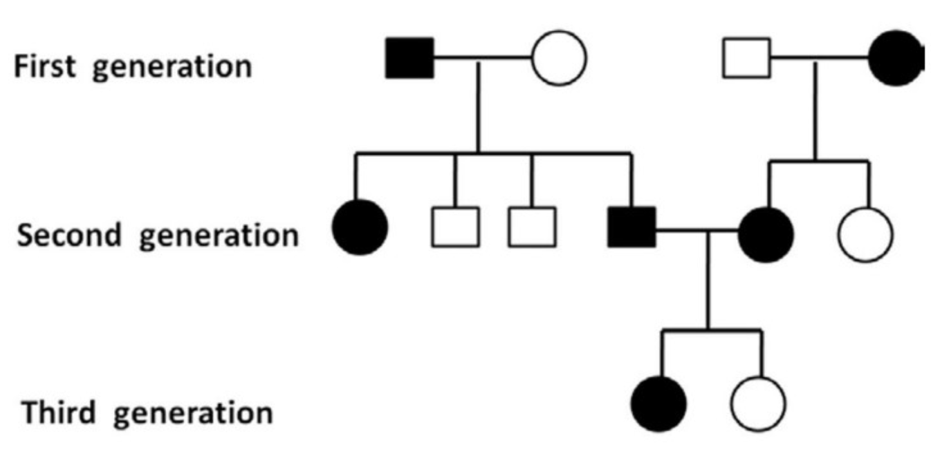 Solved The pedigree below illustrates the inheritance of a | Chegg.com