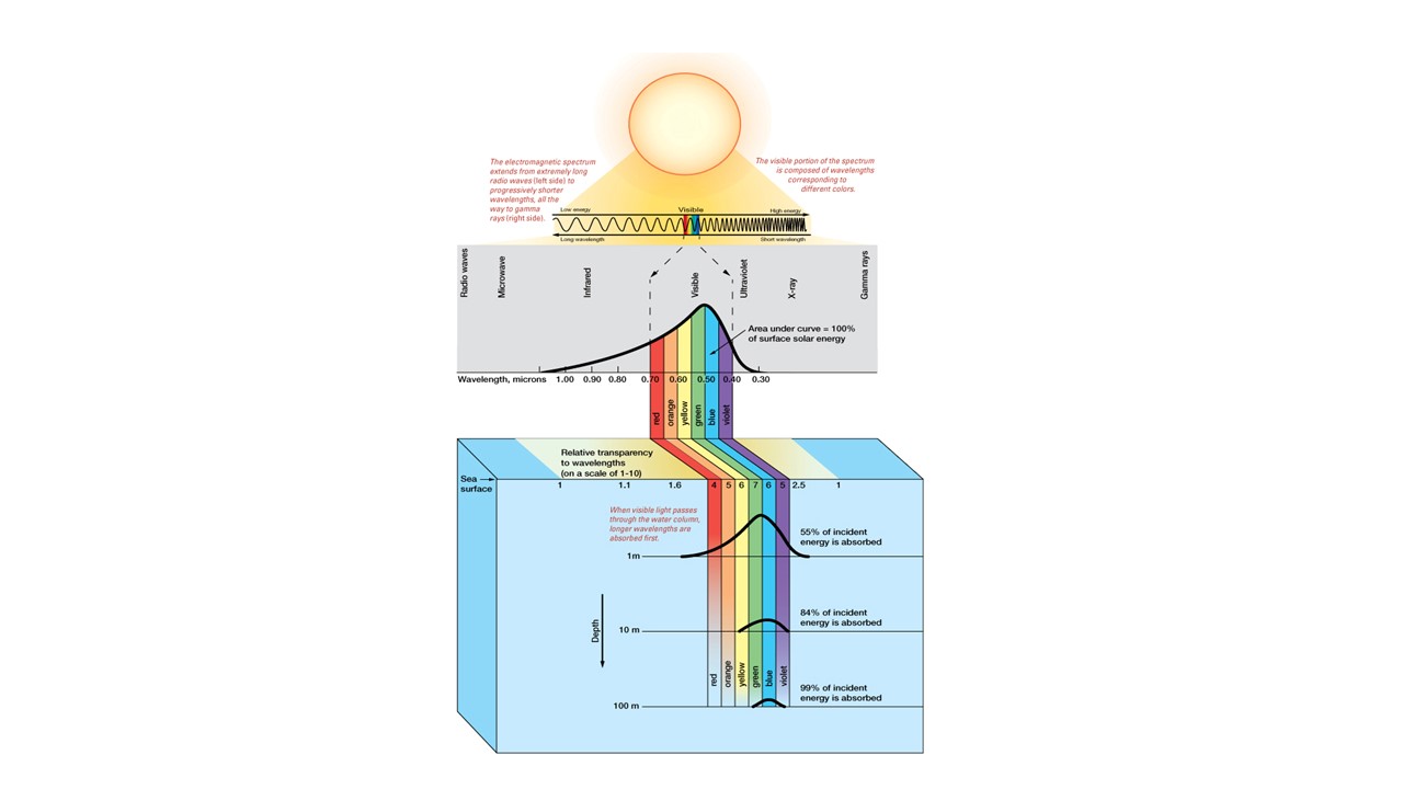 Solved Which of the following statements is correct about | Chegg.com