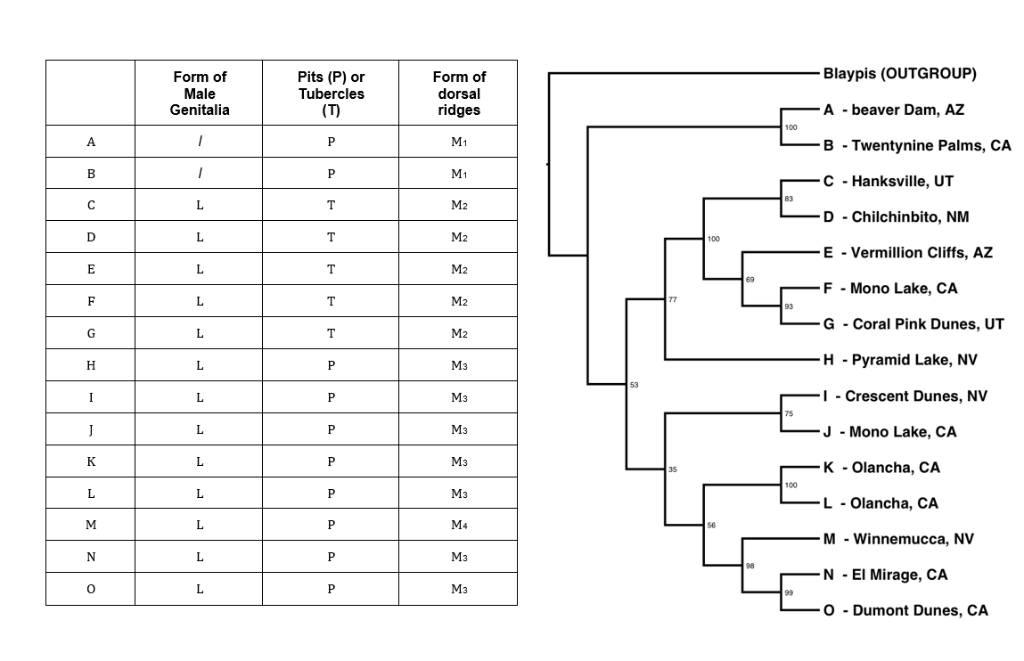 Solved How would you construct species groups from the | Chegg.com