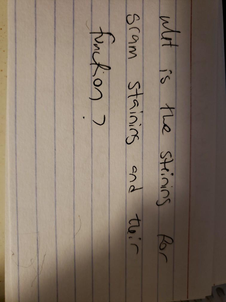 Solved wet is the scam staining function ? steining and for | Chegg.com