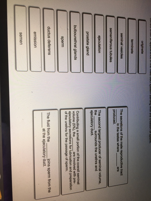 Solved Complete each of the following statements by dragging | Chegg.com