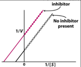 Solved The graph above clearly indicates that the inhibitor | Chegg.com