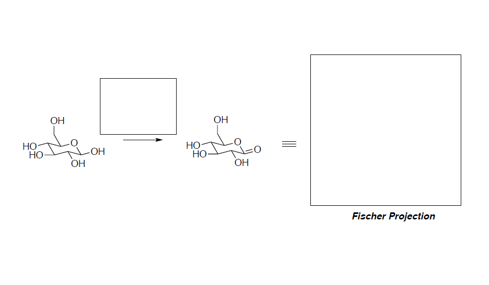Solved Fischer Projection | Chegg.com