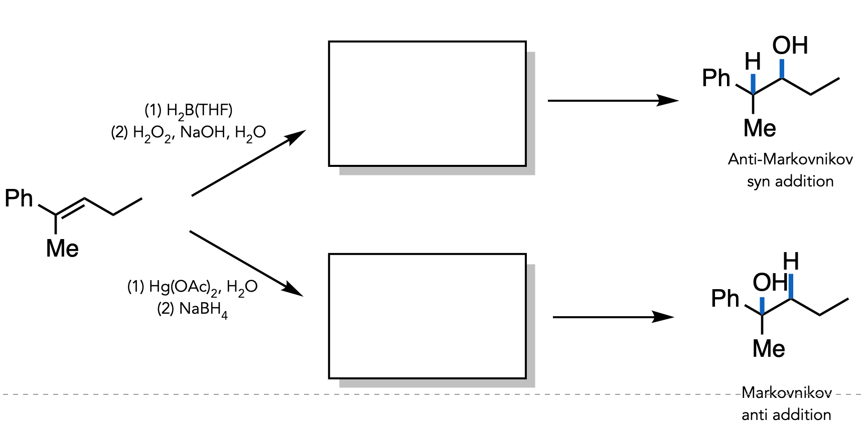 Solved Draw the transition state or intermediate after the | Chegg.com