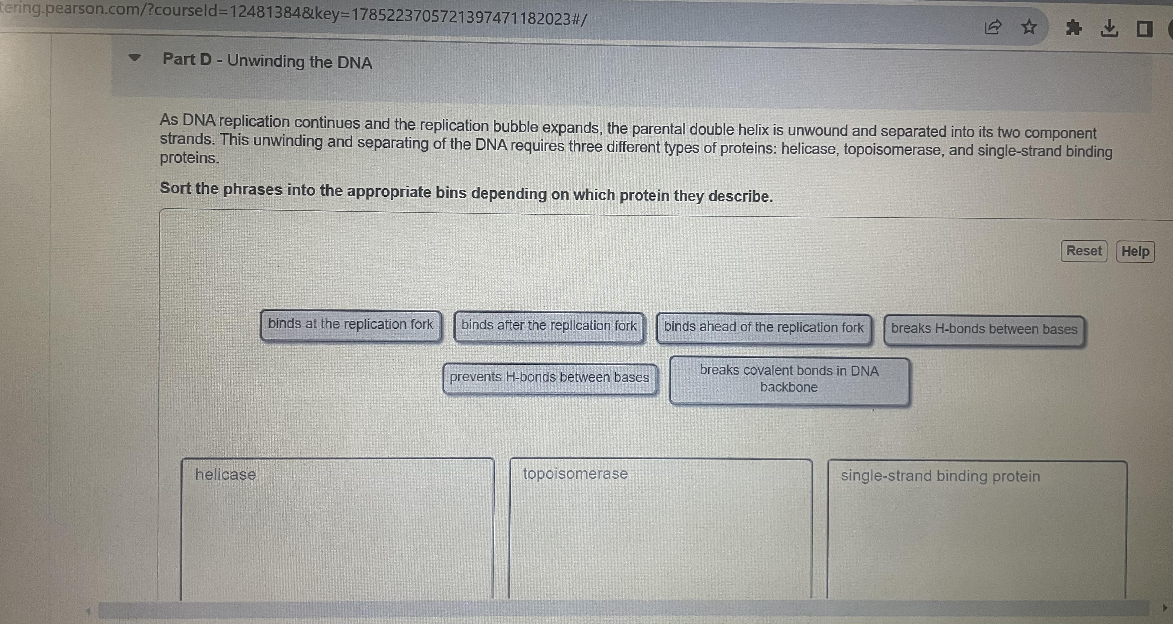 Solved Part D - ﻿Unwinding the DNAAs DNA replication | Chegg.com