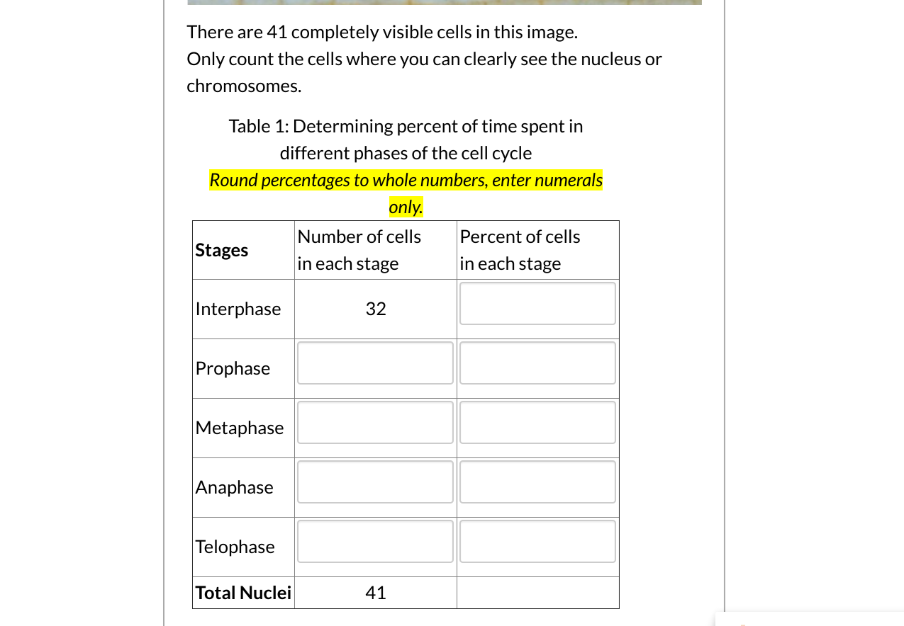 Solved Using the image below determine what stage of the | Chegg.com