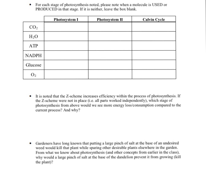 Solved For each stage of photosynthesis noted, please note | Chegg.com