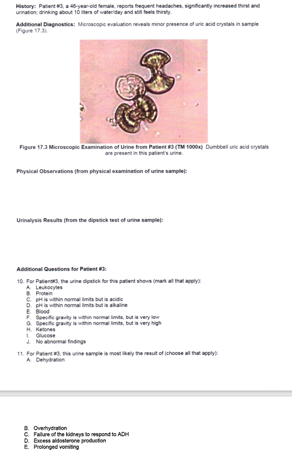 Solved Figure 17.3 Microscopic Examination of Urine from | Chegg.com