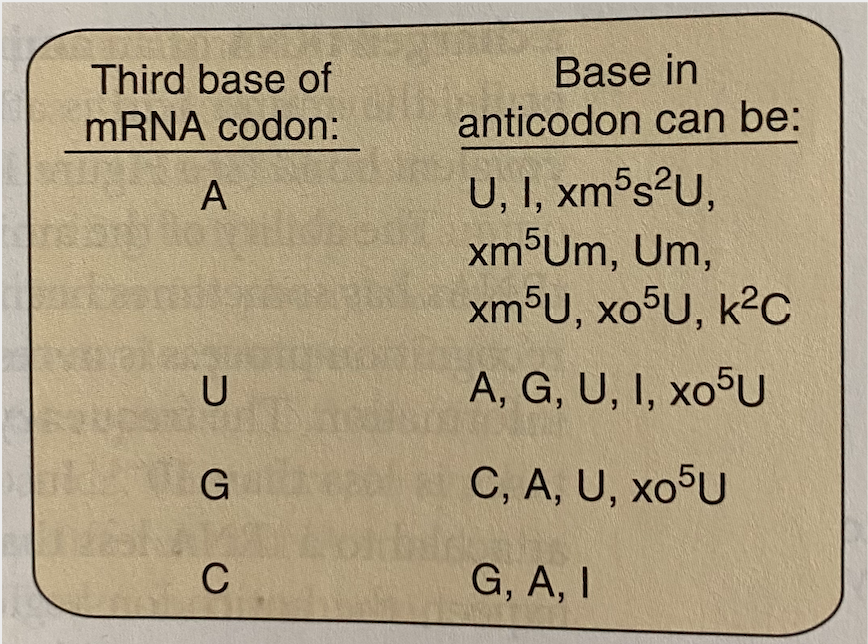 Solved 2. a) Write the sequence of an anticodon of one | Chegg.com