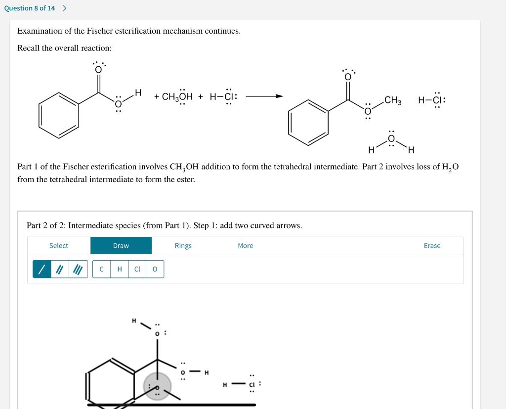 Solved Examination of the Fischer esterification mechanism | Chegg.com