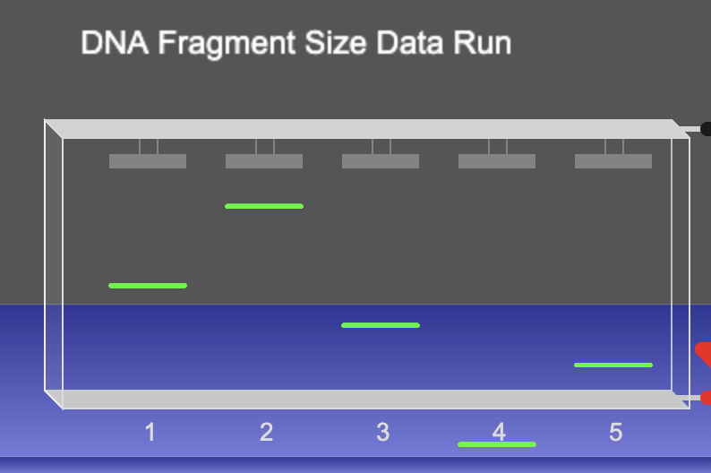 Solved In the table below indicate which sample contains the | Chegg.com